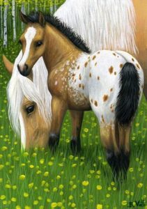 History | Information About the Horse Registry